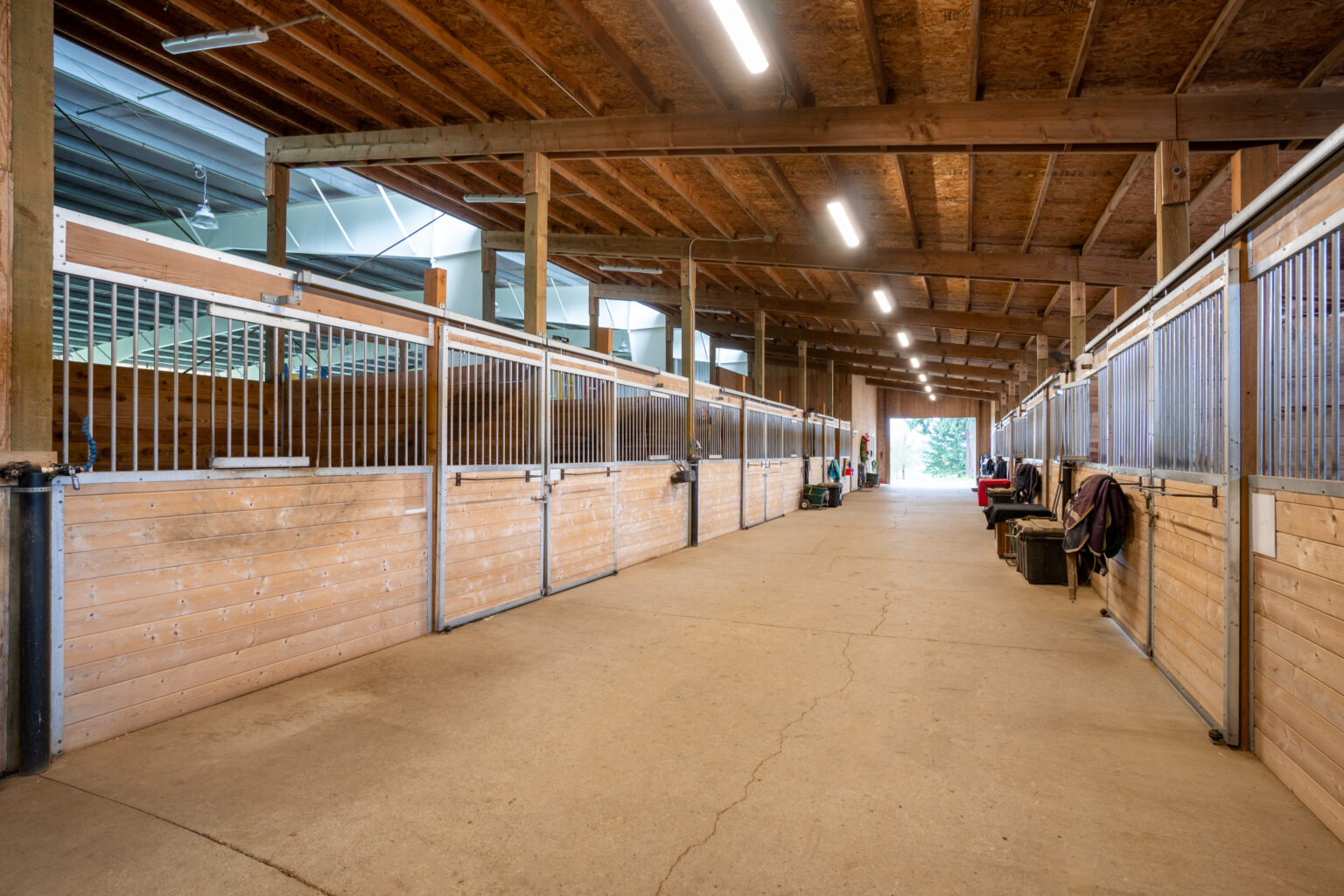 Home - trinityhorsefarmllc.com