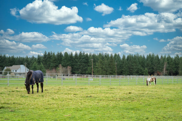 Home - trinityhorsefarmllc.com