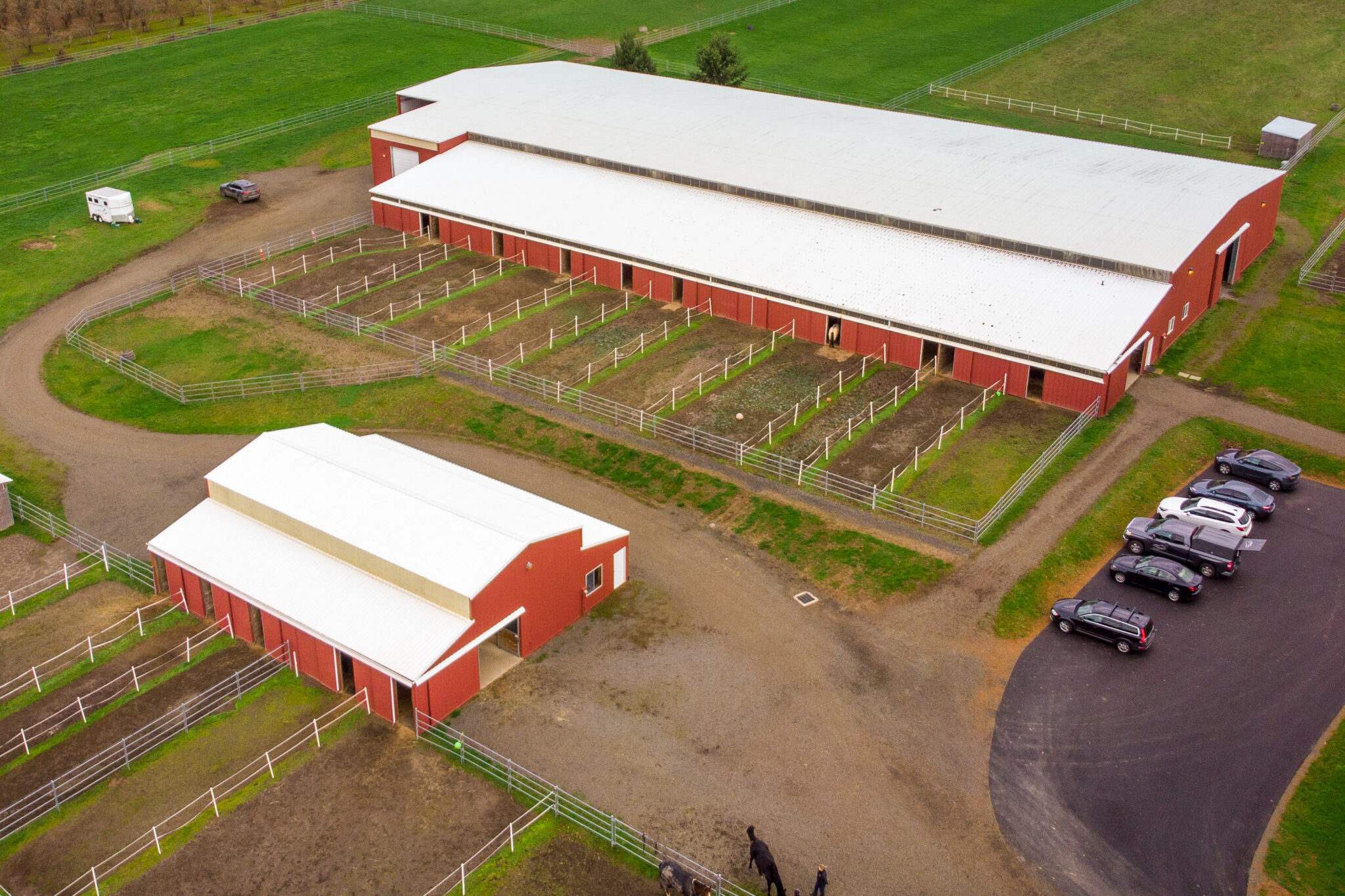 Home - trinityhorsefarmllc.com